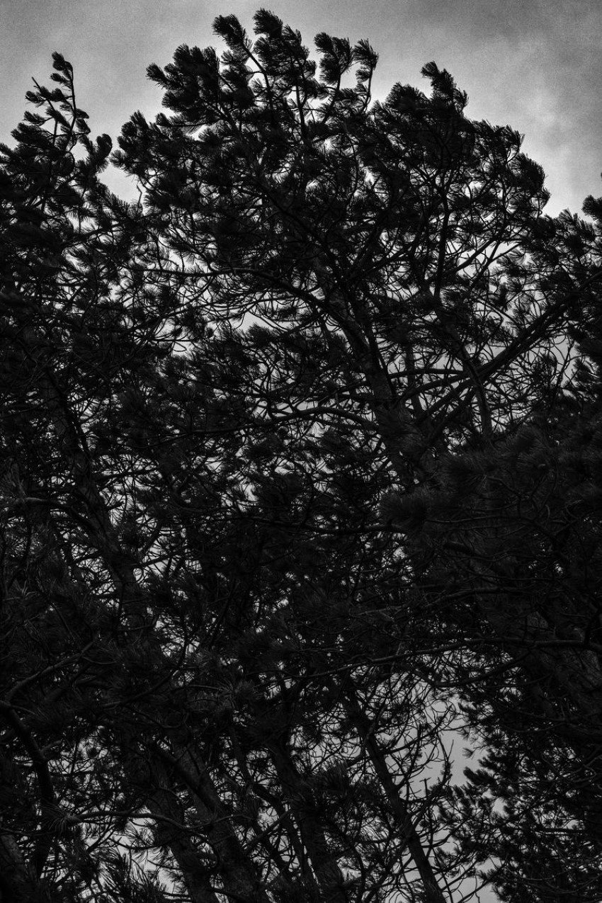 Elise van Iterson covers Numéro Netherlands Spring/Summer 2020 by Marco ...