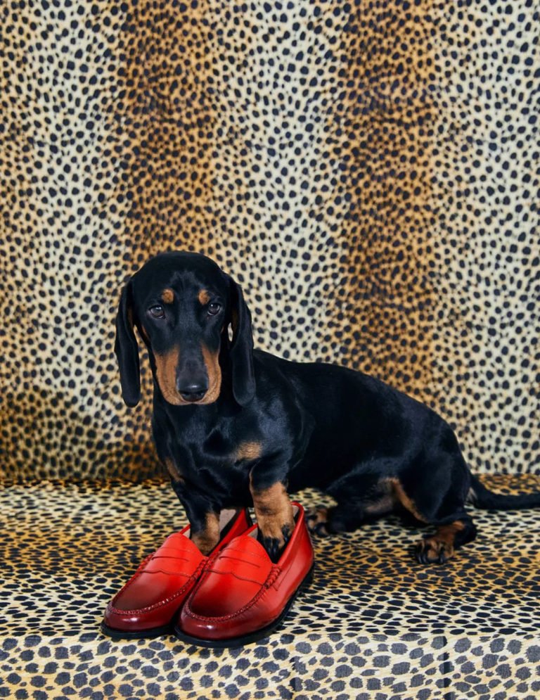 Laura Gavrilenko by Marc Philbert for Madame Figaro October 1st, 2021 ...